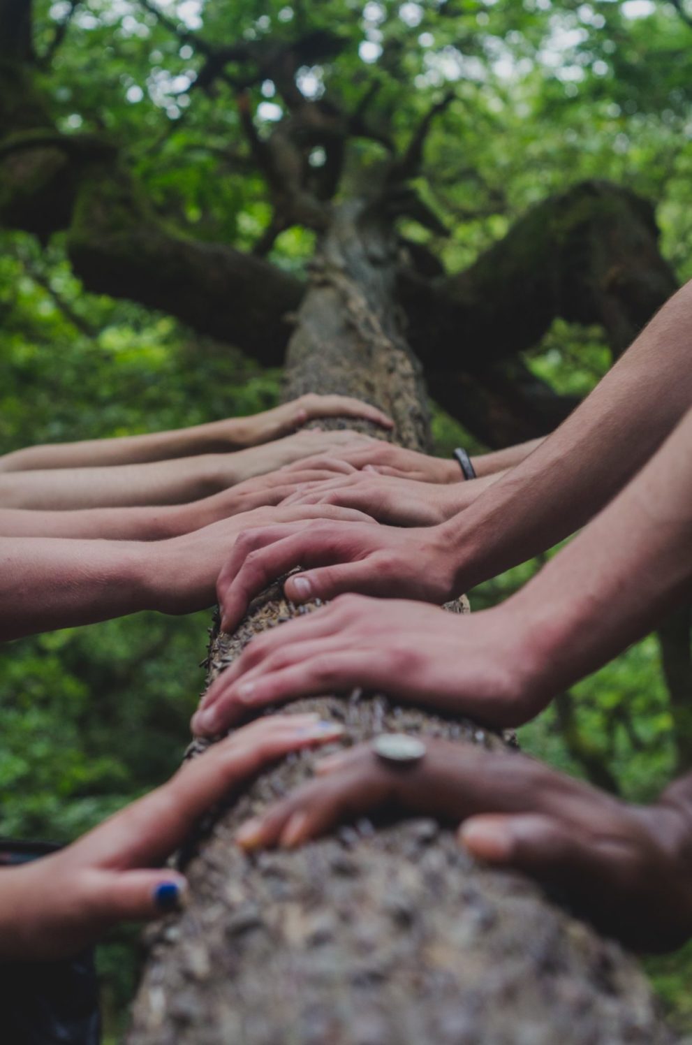 ¿Qué es una inversión socialmente responsable? | CentSai ¿Qué es una inversión socialmente responsable? | CentSai
